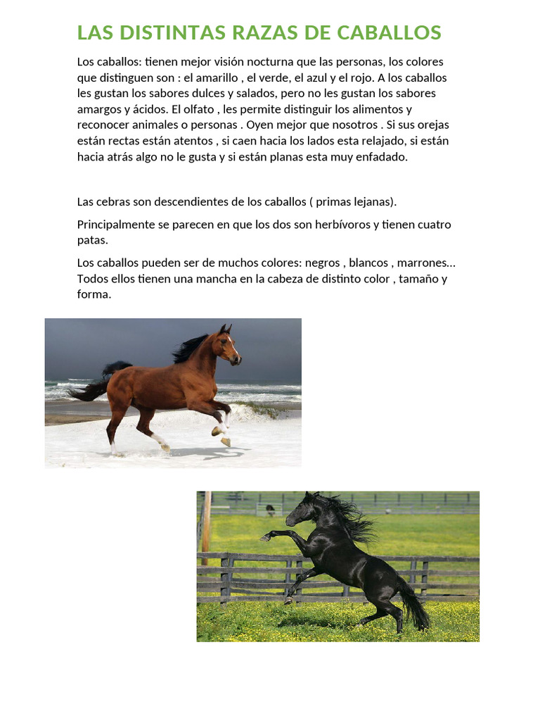 Razas de Caballos y Sus Características | PDF