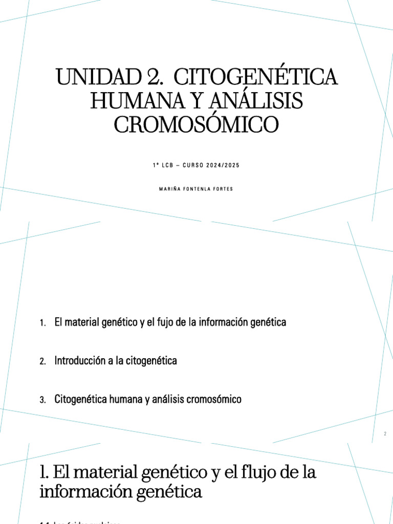 UD2 - 1.1 - 1.2 - 1.3. Ã Cidos Nucleicos, ADN y ARN | PDF | Rna | Adn