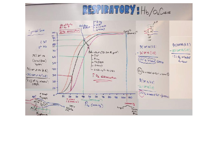 O2Hb curve | PDF