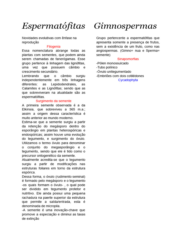 Resumo Espermatófitas | PDF