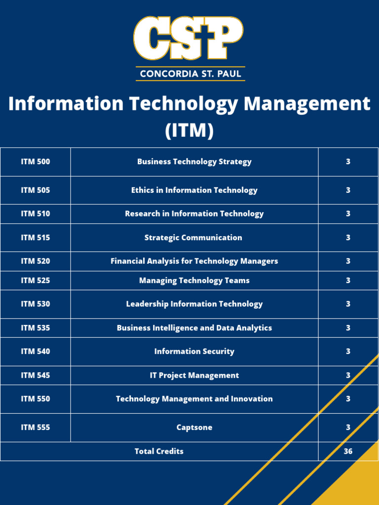 Information Technology Management | PDF | Strategic Management | Analytics