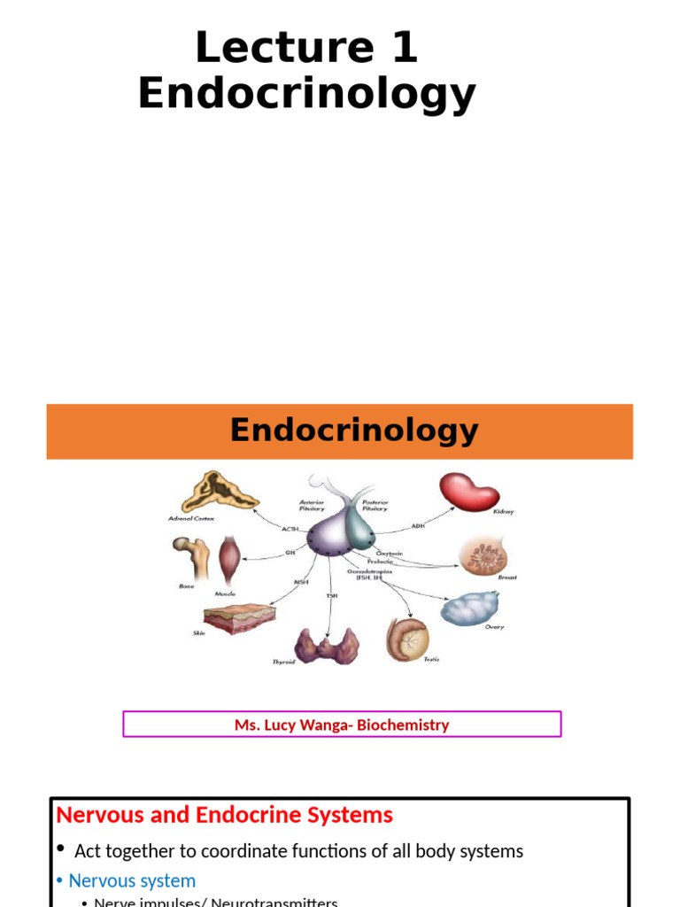 Lecture 1 Endocrinology | PDF | Luteinizing Hormone | Thyroid