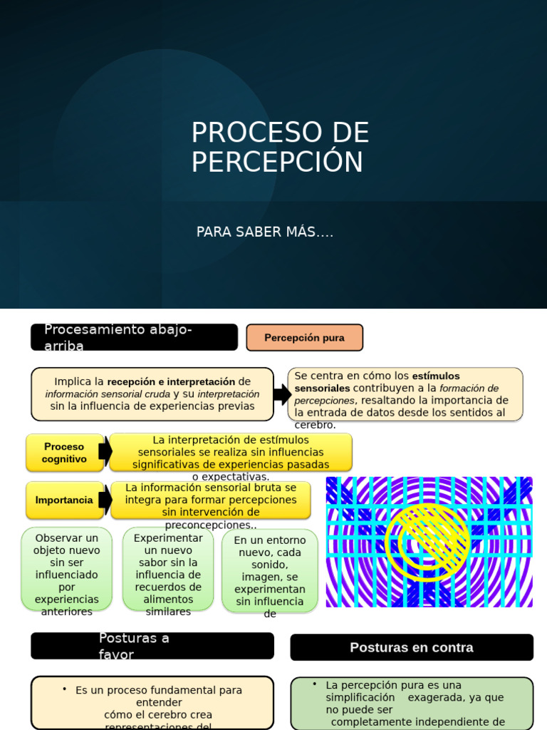 Proceso de Percepción | PDF | Percepción | Ojo humano