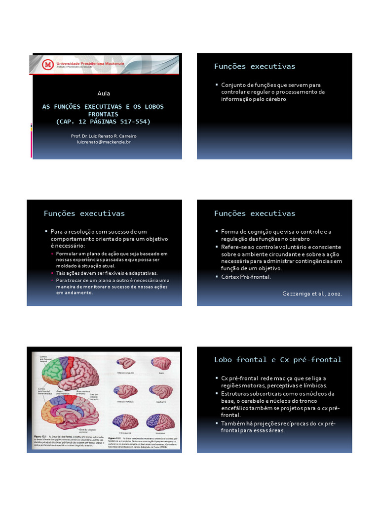Aula 3 Funções Executivas 2015-1 Neuro II | PDF | Memória | Córtex pré ...