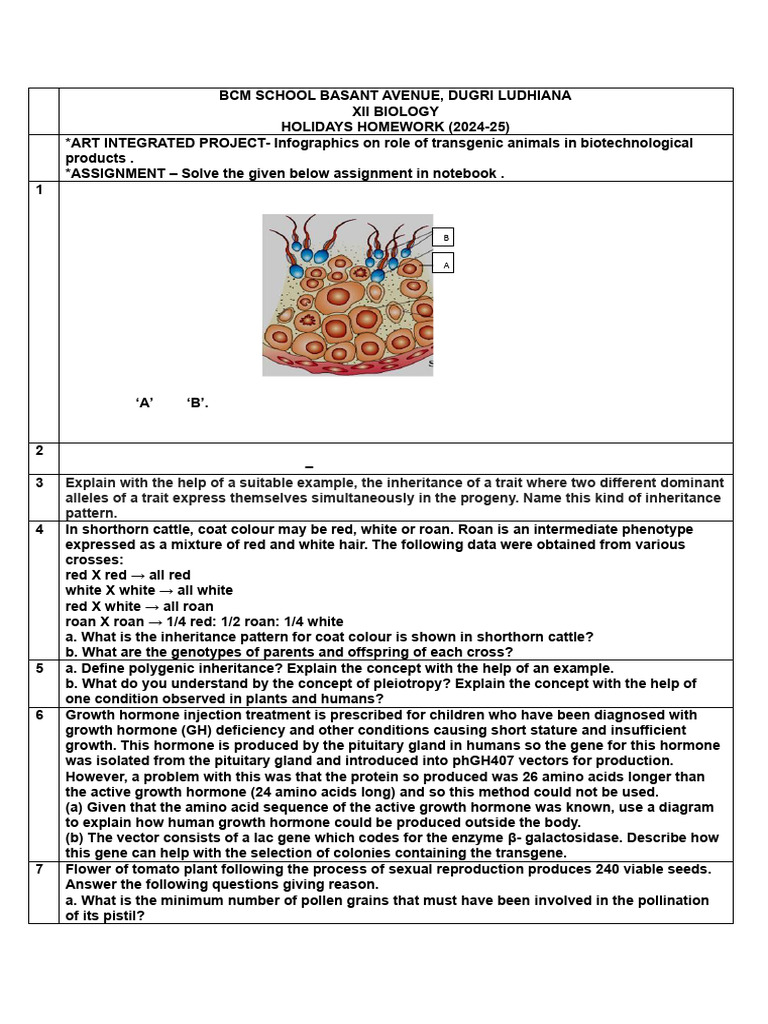 XII Biology Holiday Homework | PDF | Ovary | Seed