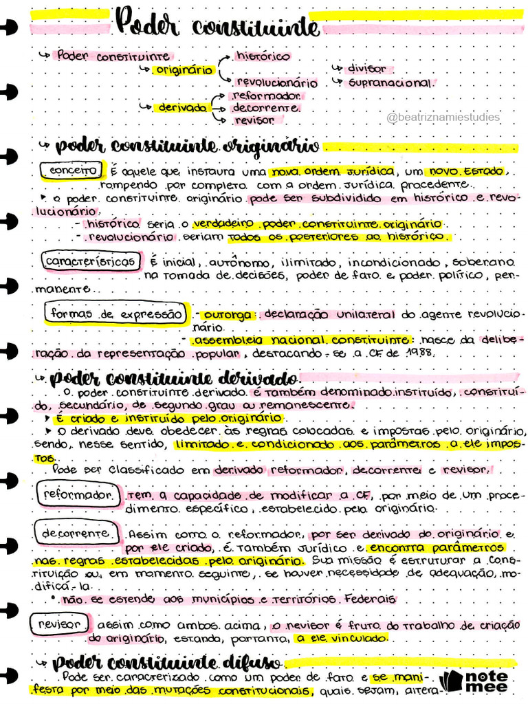 Poder Constituinte | PDF