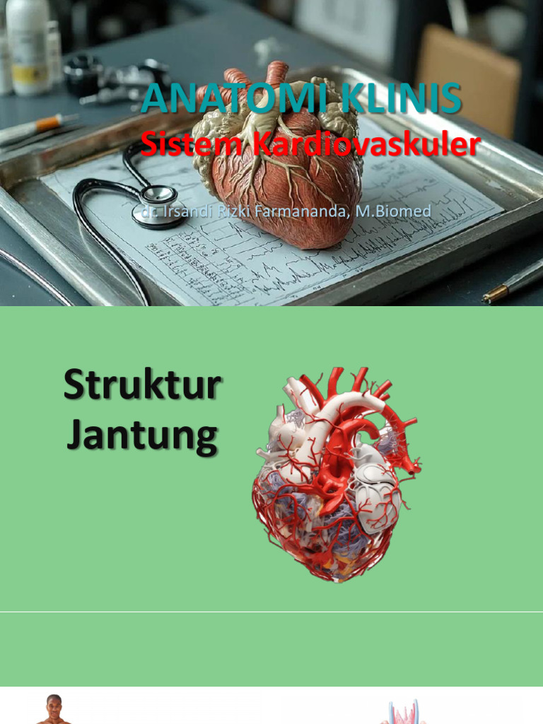 Anatomi Kardiovaskuler dan Kondisi Jantung | PDF
