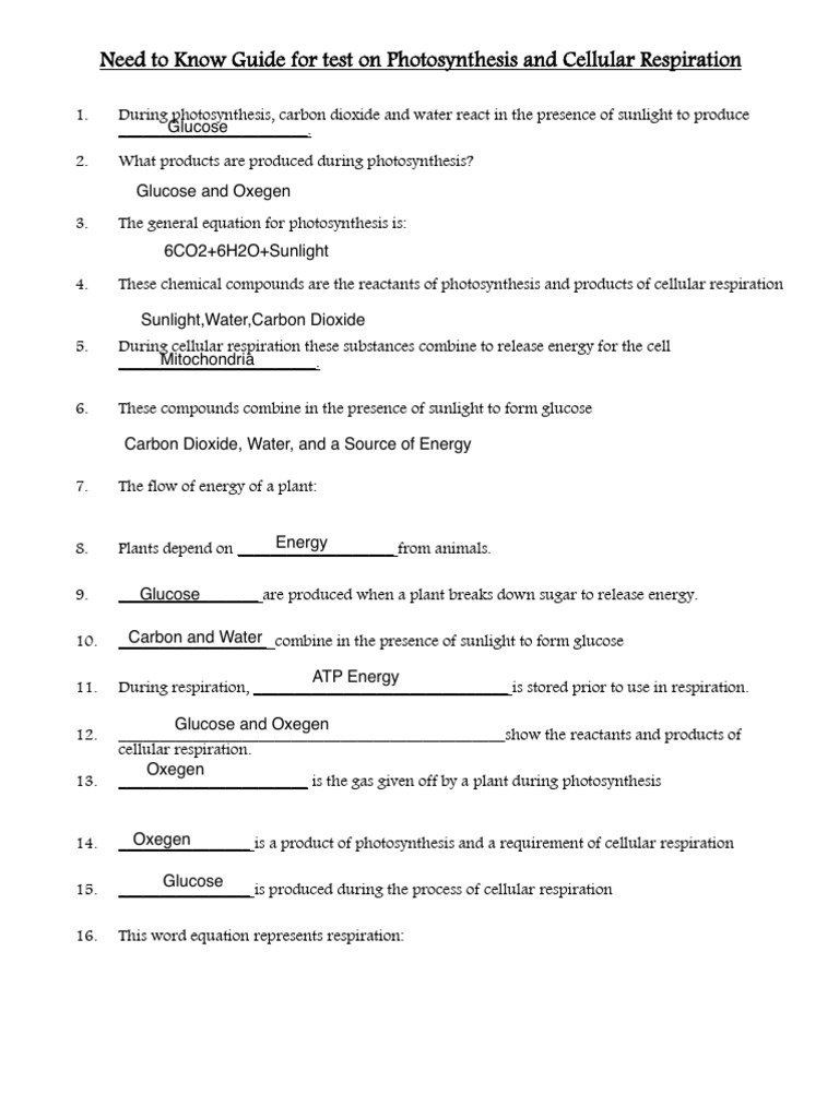 Need To Know Guide For Test | PDF