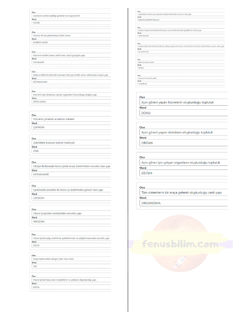 7.-SINIF-2.-UNITE-HUCRE-VE-ORGANELLERI-BULMACA-CEVAPLAR | PDF