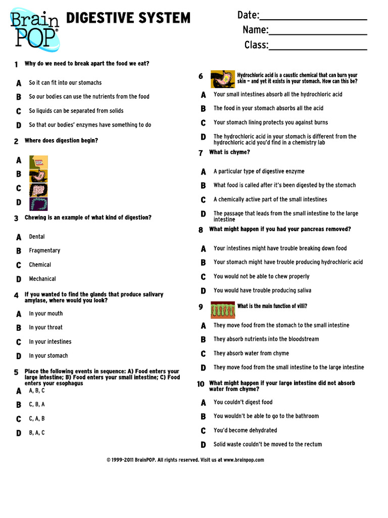 Digestive System Quiz | PDF