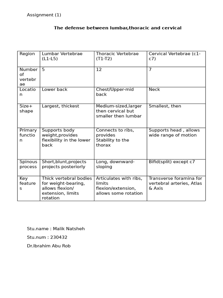 Assignment (1) Lab Anatomy | PDF