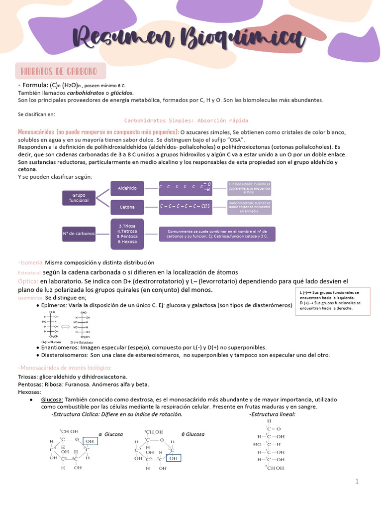 Resumen Bioca | PDF | Digestión | Polisacárido