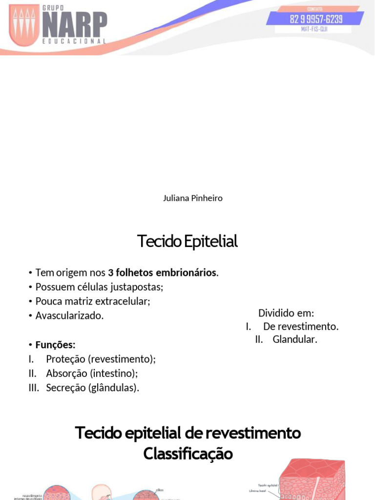 PV Aula 8 Tecido Epitelial e TCPD RESUMO | PDF