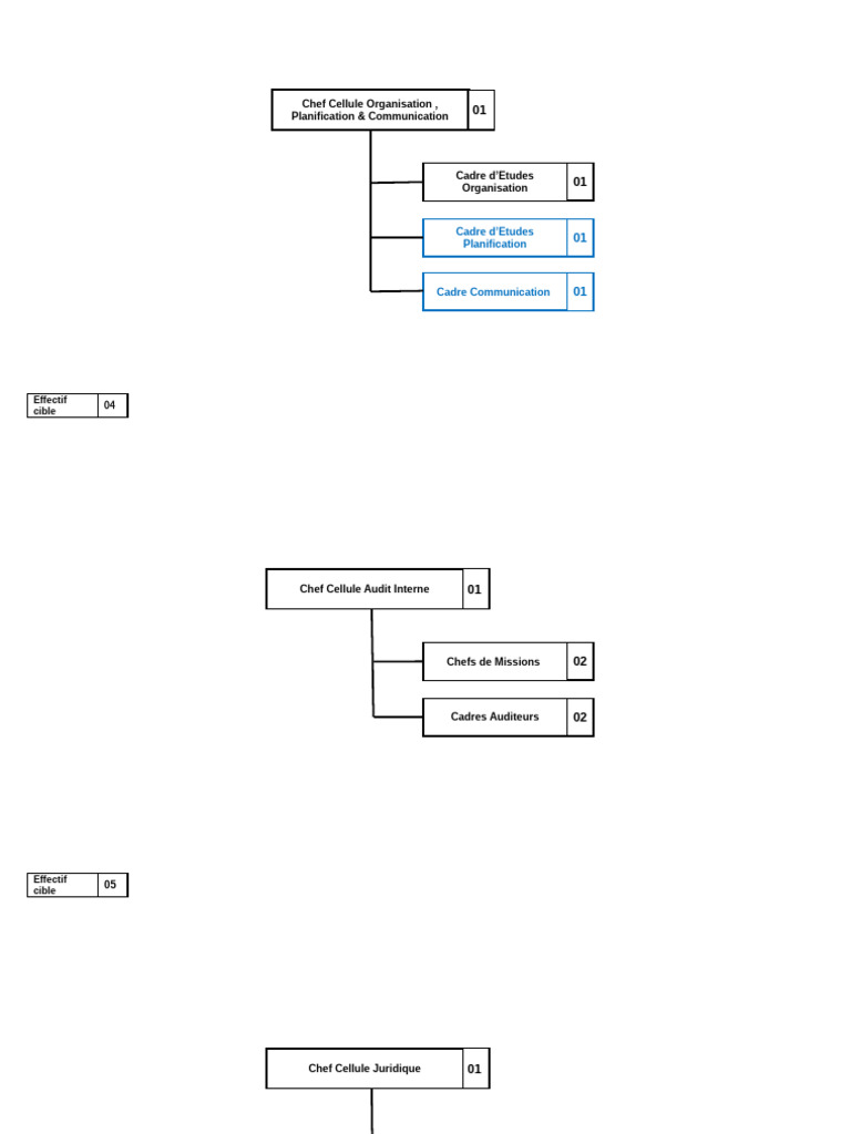 Analyse du projet d'organisation | PDF | Business | Comptabilité