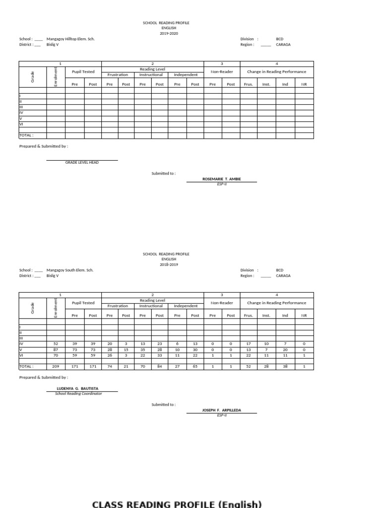 Class Reading Profile Blank24 | PDF