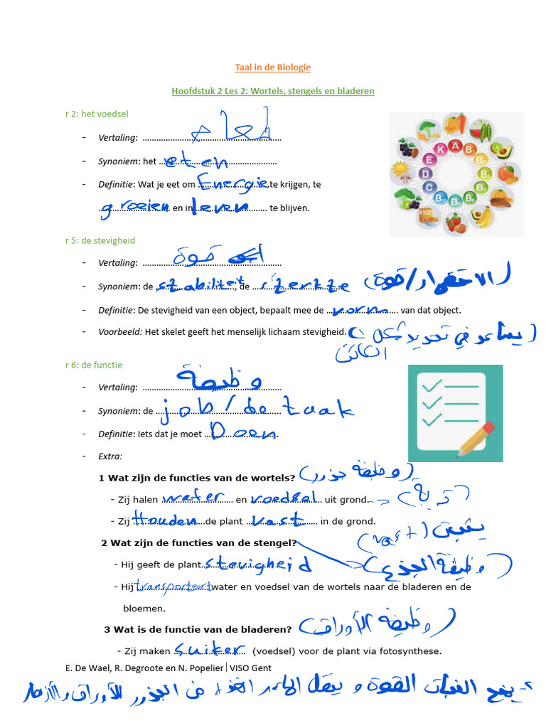 H2L2 Wortels, Stengels en Bladeren (Invulexemplaar) | PDF
