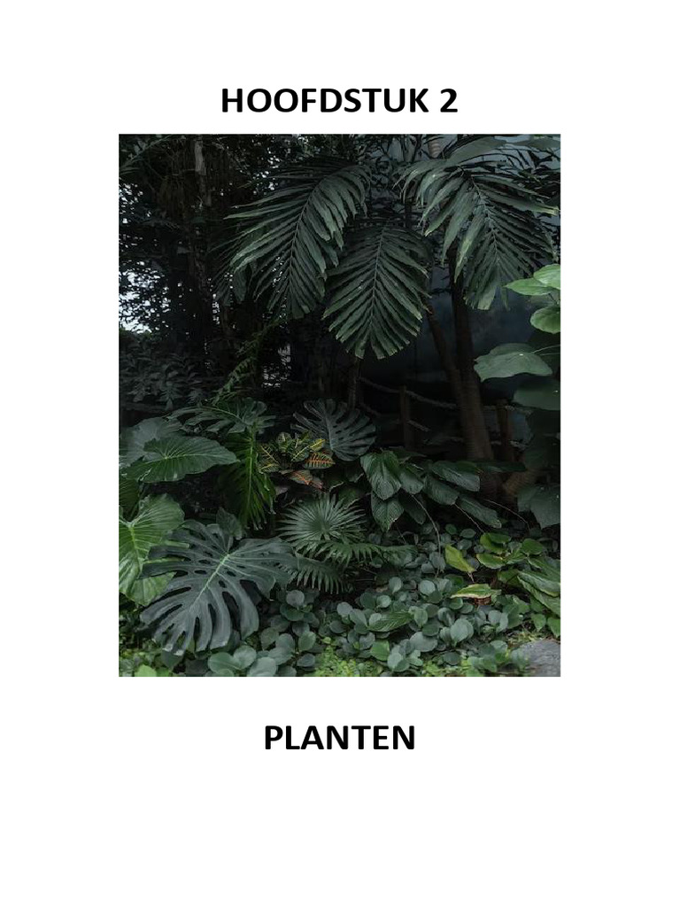 H2L2 Wortels Stengels en Bladeren | PDF