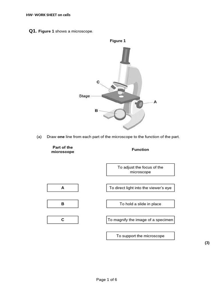 HW Question On Cells Sep 2023 2 3 | PDF | Laboratory Techniques | Optics