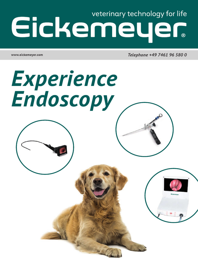COM Endoscopy Bro 8 EXP Engl 05-2020 LR | PDF | Camera | Video