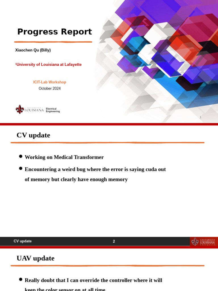 CV Report On Itrs Flooding | PDF