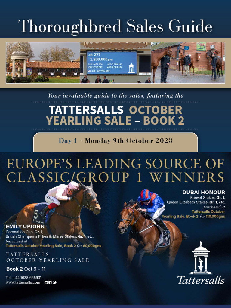 Yearling Sale Guide for Buyers | PDF | Horse Racing | Horse Breeding