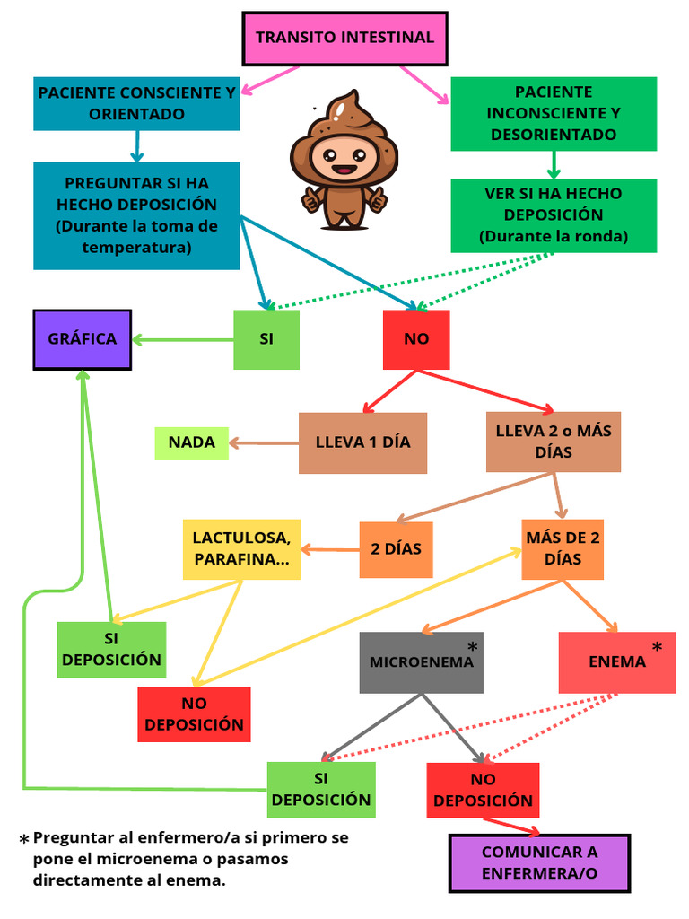 Protocolo de Evaluación de Tránsito Intestinal | PDF