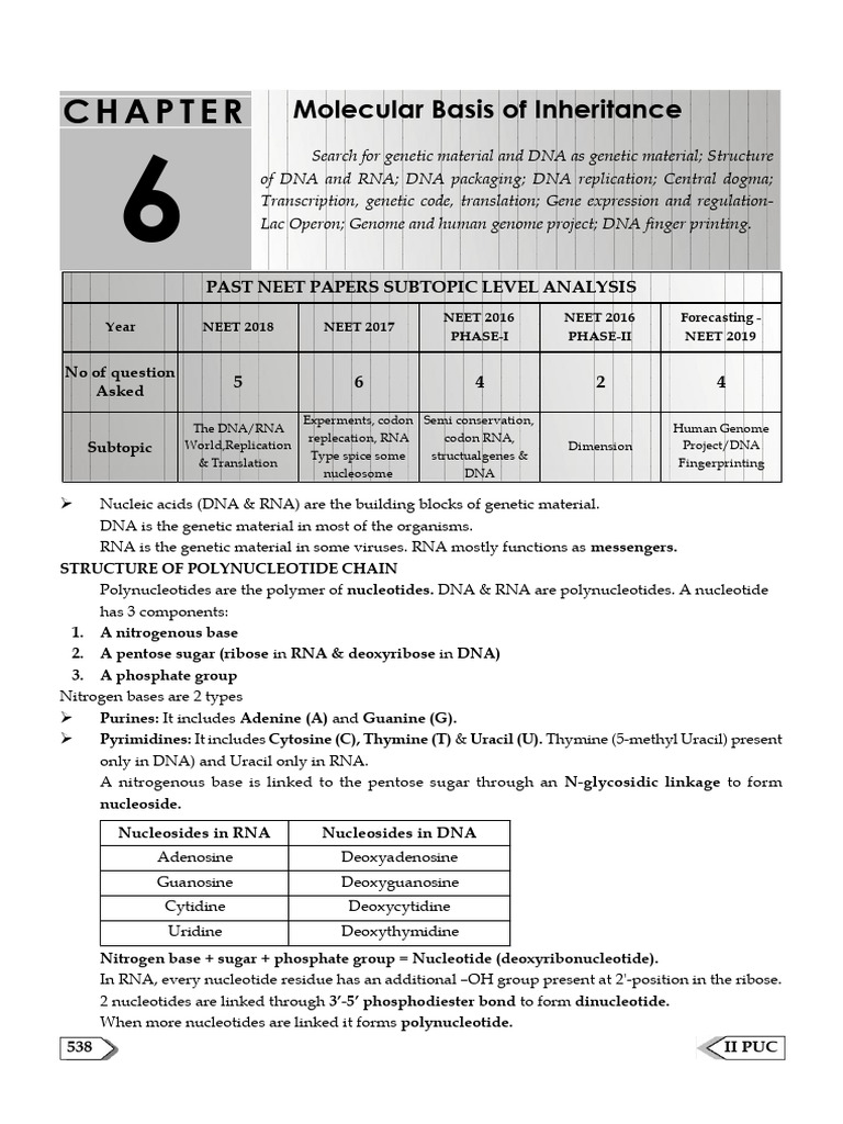 Moleculer Basis of Inheritance | PDF | Genetic Code | Operon
