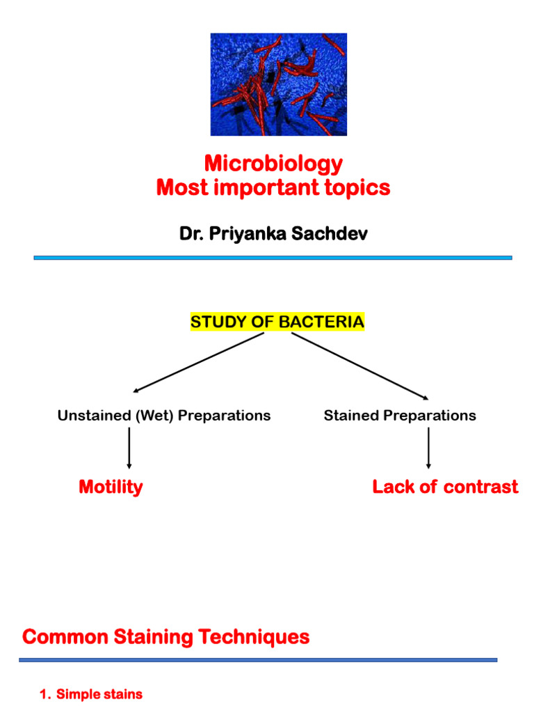 Essential Bacterial Staining Techniques | PDF | Gram Positive Bacteria ...