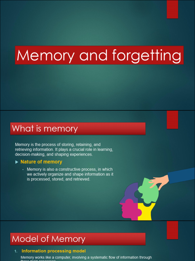 Understanding Memory and Forgetting | PDF | Memory | Long Term Memory