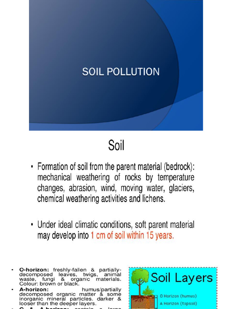 Soil Pollution | PDF