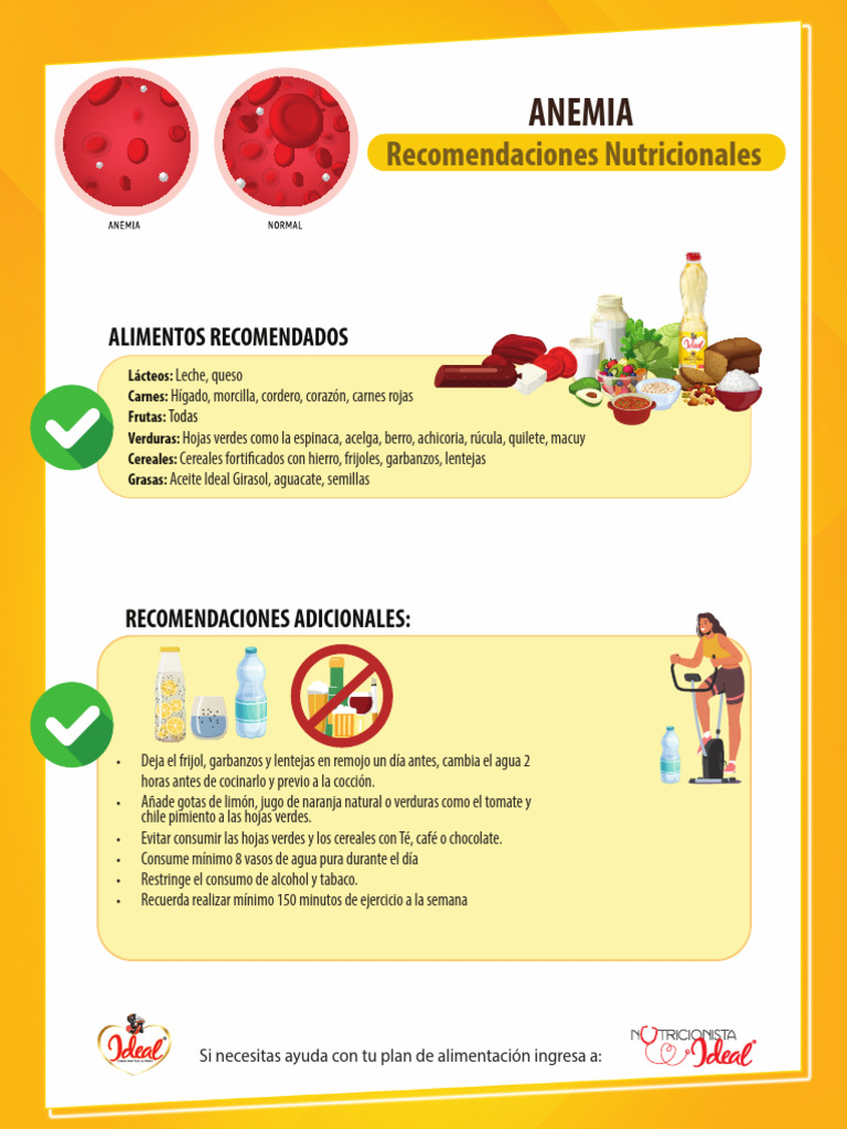 Recomendaciones Nutricionales Anemia | PDF