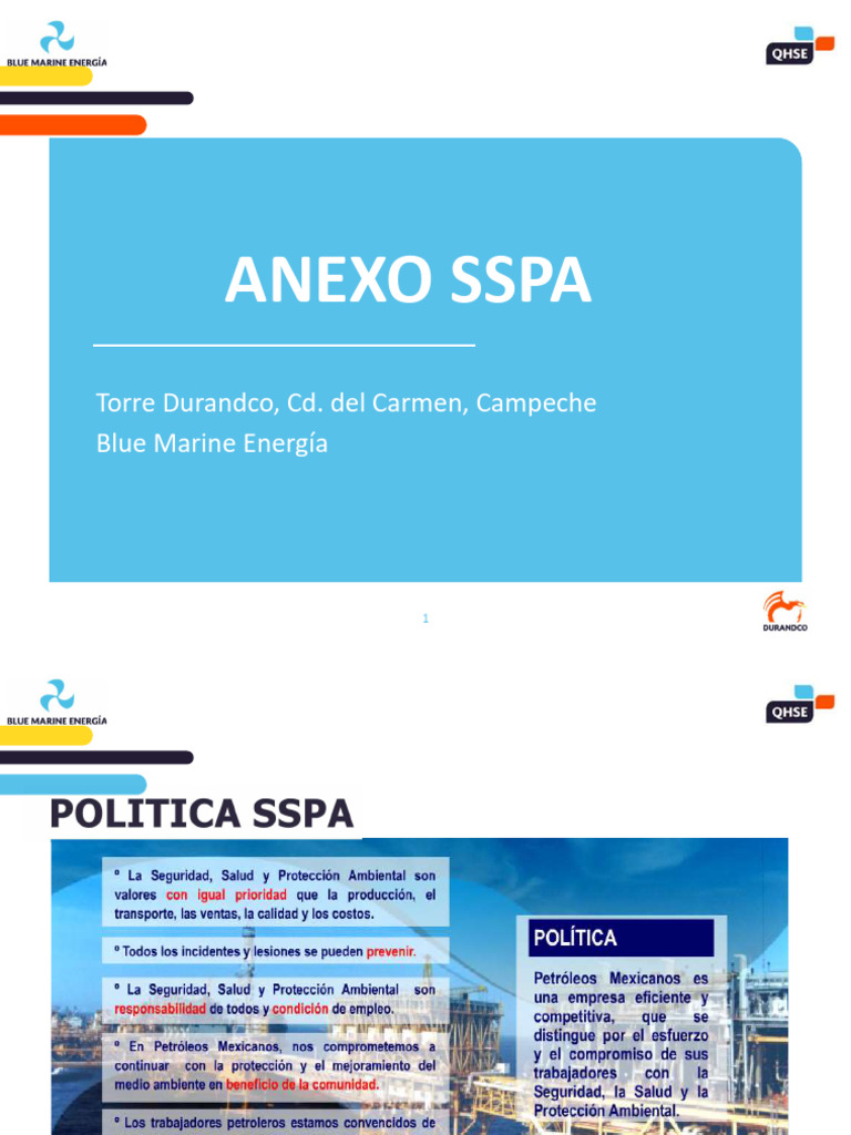 Anexo SSPA: Seguridad y Salud Laboral | PDF | Contaminación | México