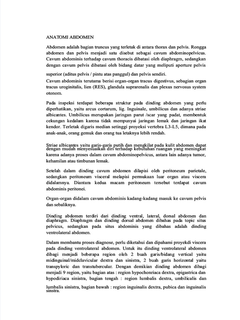 PDF Anatomi Abdomen Compress | PDF