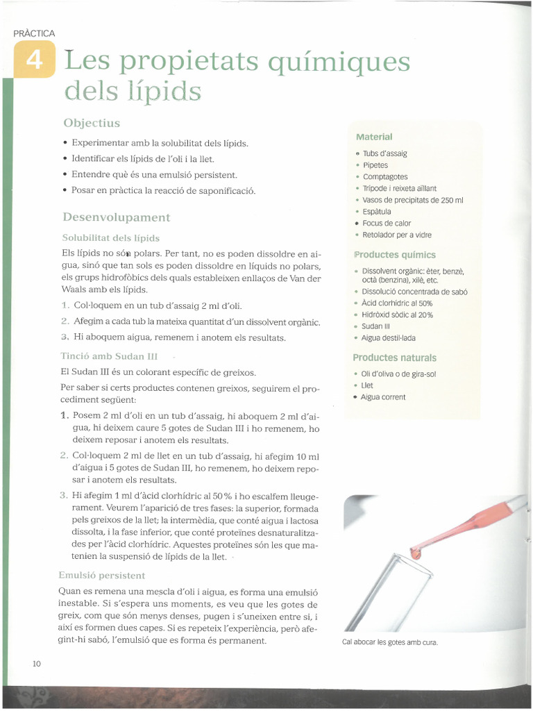 Practica Lipidos Pdf