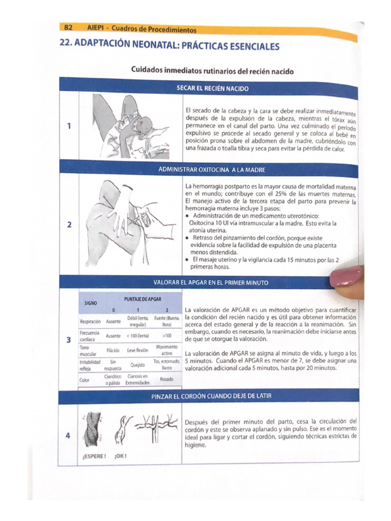 Adaptación Neonatal Prácticas Esenciales | PDF
