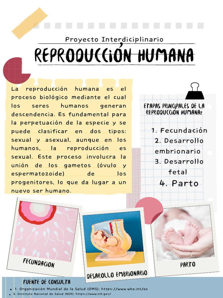 PARTE 1_ PROYECTO INTER | PDF | Reproducción humana | El embarazo