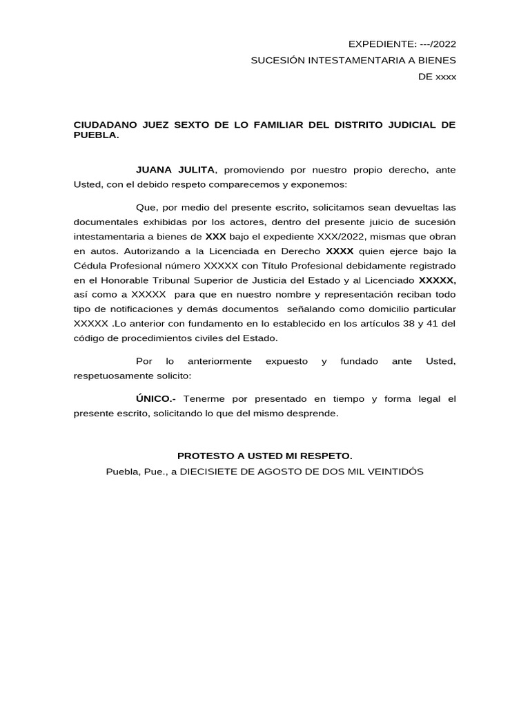 Escrito Dev. Doc. Exp | PDF