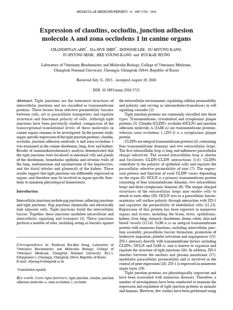 Ahn, 2016, Molecular Medecine Reports, Expression of Claudins, Occludin, Junction Adhesion ...