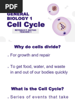 BioMan Biology 2 | PDF | Mitosis | Cell (Biology)