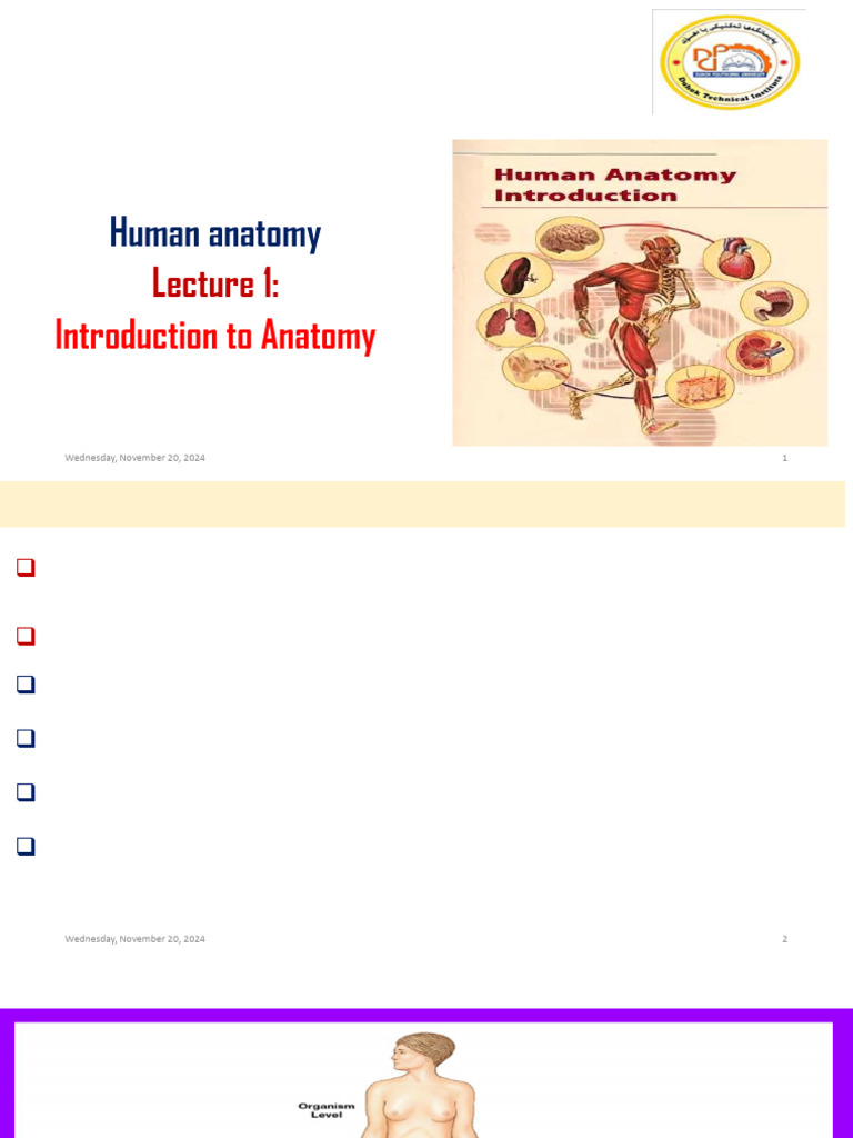Introduction to Human Anatomy Concepts | PDF | Anatomical Terms Of ...