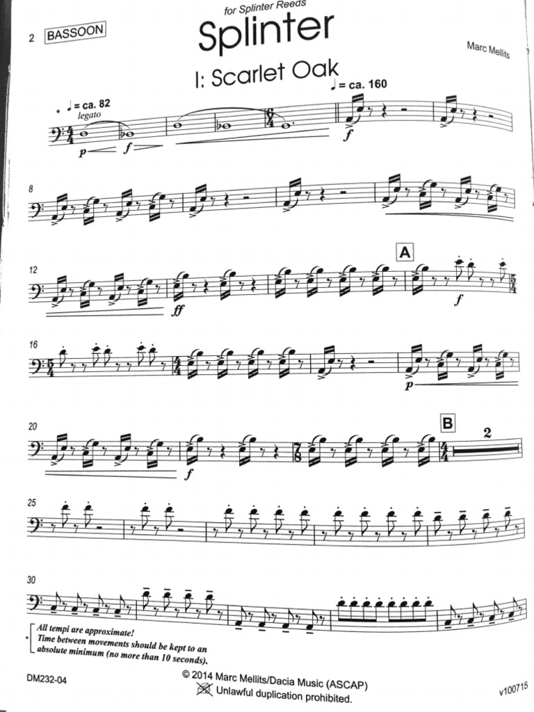 Splinter Bassoon | PDF