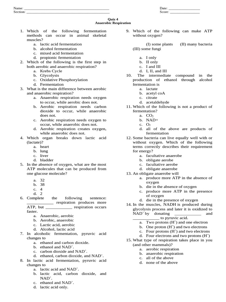 Quiz 4 Anaerobic Cellular Respiration | PDF | Cellular Respiration ...