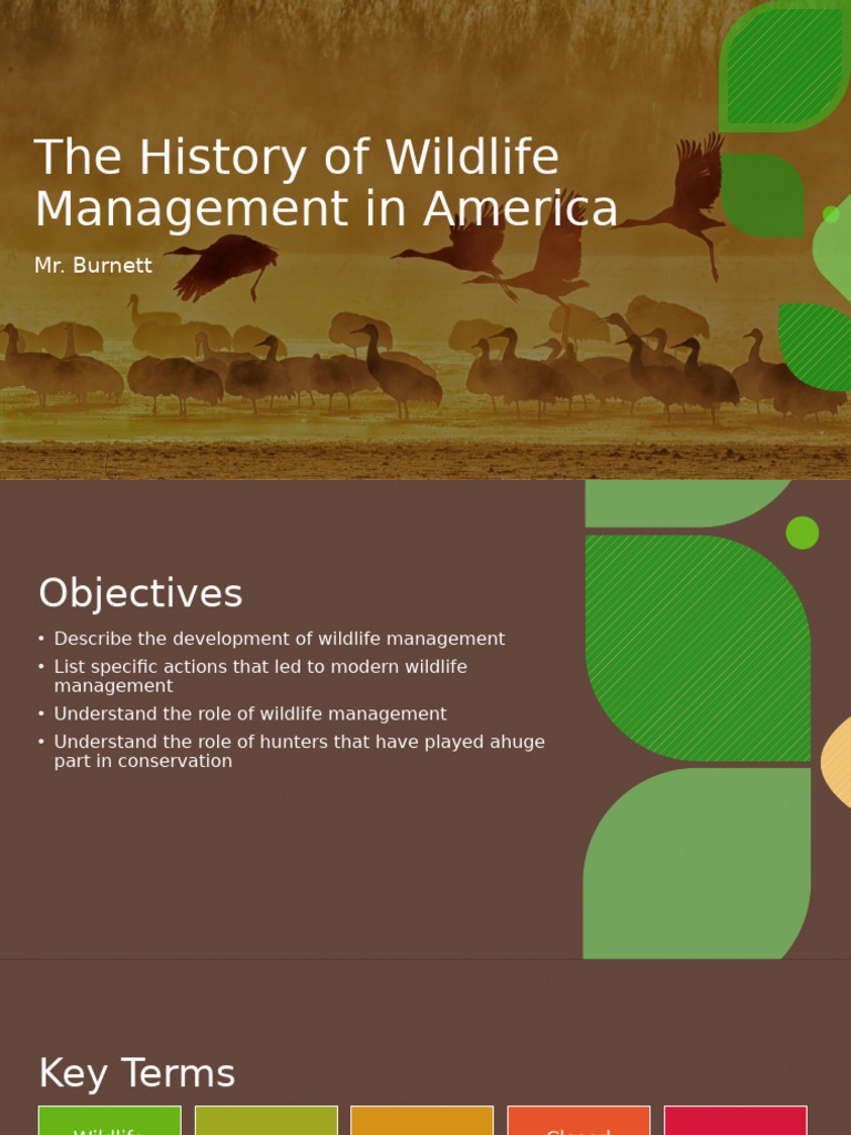 The History of Wildlife Management in America | PDF | American Bison ...