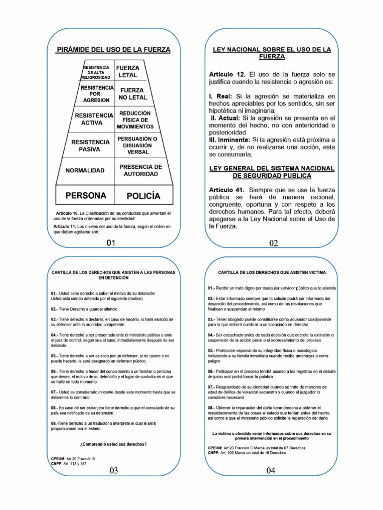 Librillo Del Policia Acero | PDF | Policía | Rifle