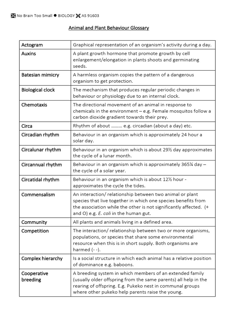 Bio - 91603 Animal and Plant Behaviour Glossary | PDF | Circadian ...