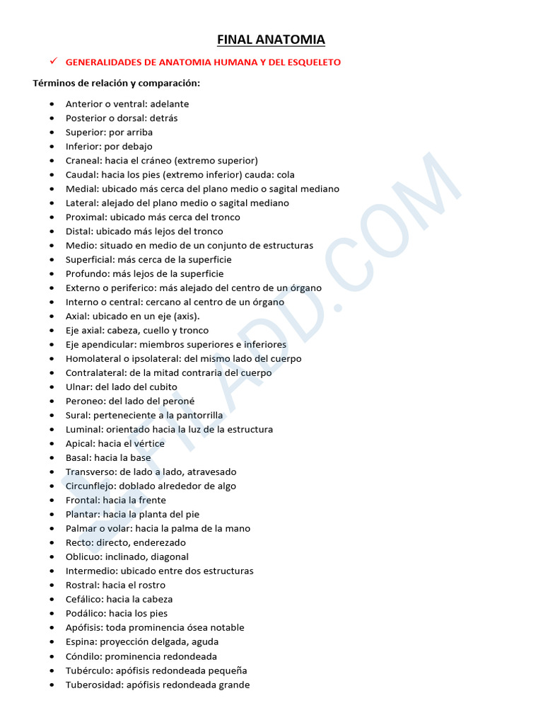 FINAL ANATOMIA NORMAL 2 | PDF | Mano | Articulación