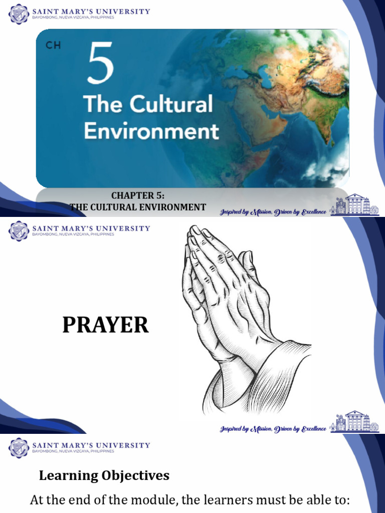 Chapter 5 - The Cultural Environment | PDF | Learning