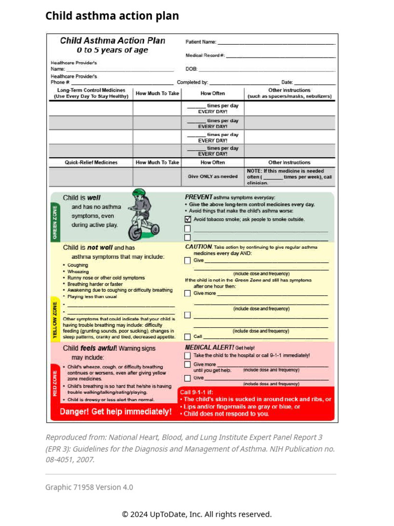 Child Asthma Action Plan | PDF