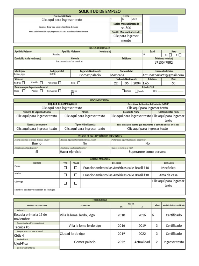Solicitud de Empleo Detallada 2024 | PDF