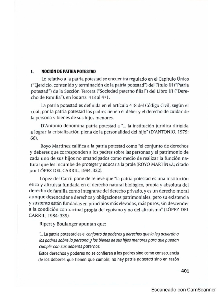 Patria Potestad | PDF